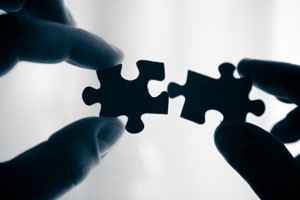 Fragile Bonds – Law Officer