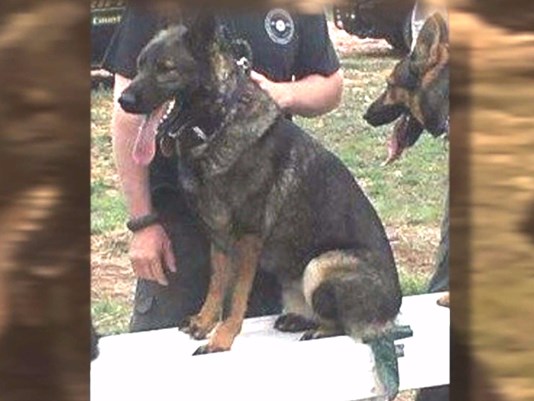 Deputy Fired After K9 Died While In His Care - Law Officer