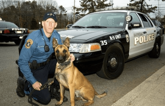 K9 Bullet Honored Before His Death – Law Officer