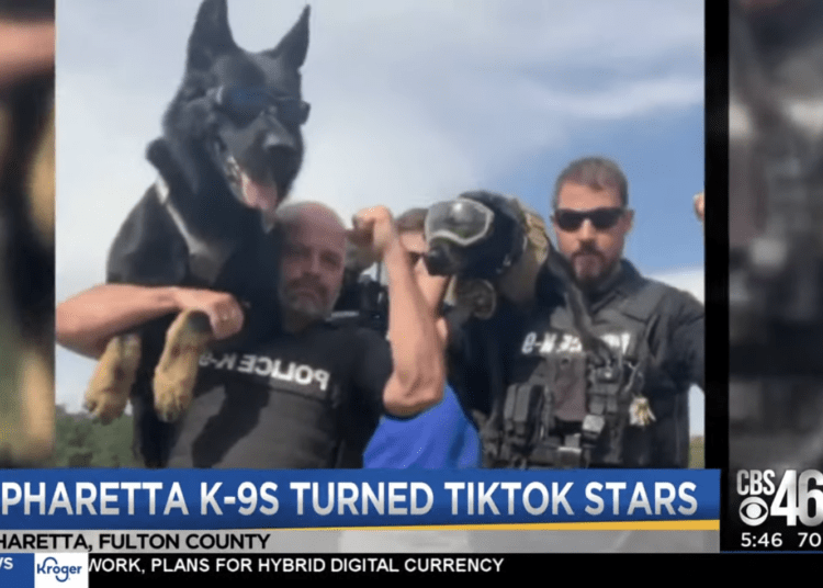 Georgia K9 handlers and their partners make a TikTok splash – Law Officer