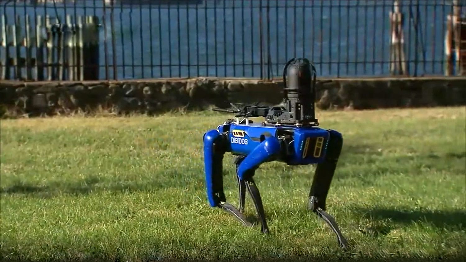 NYPD puts down robot dog due to ‘race issues’ – Law Officer