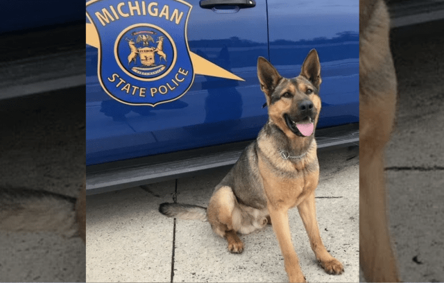 Michigan State Police K9 Rex killed in crash involving DUI driver – Law ...