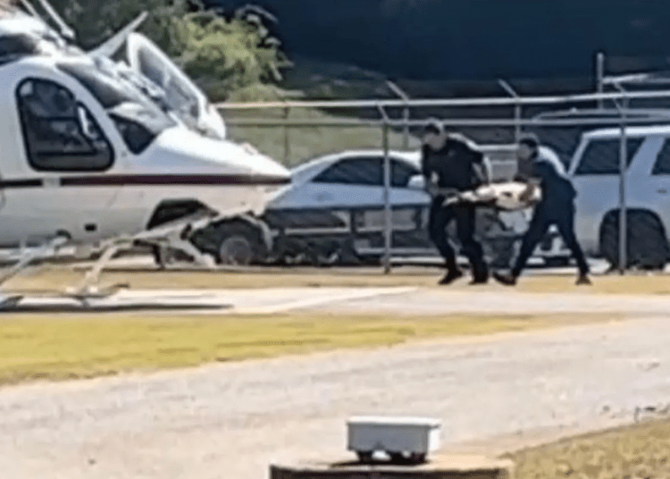 Georgia State Patrol K9 Figo, murder suspect killed in confrontation ...