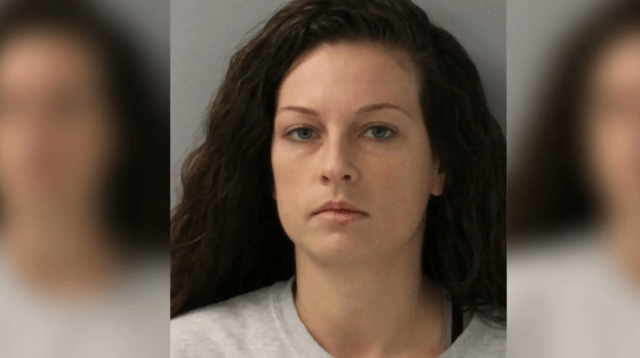 High school softball coach pleads guilty to sexual relationship with ...