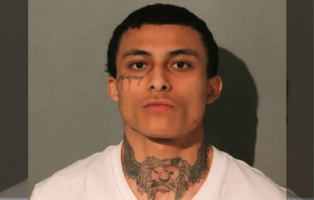 Cop killer found guilty of murdering Chicago police officer, seriously ...