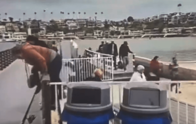 Nearly two dozen migrants filmed hopping off boat at marina in ...