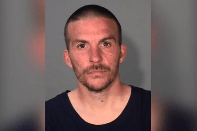 Off-duty St. Paul officer foils armed robbery – Law Officer