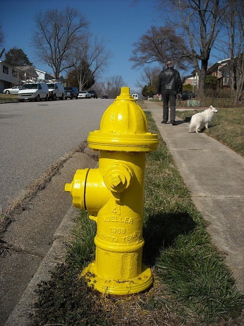 Lawlessness In Los Angeles As Fire Hydrant Thefts On The Rise - Law Officer